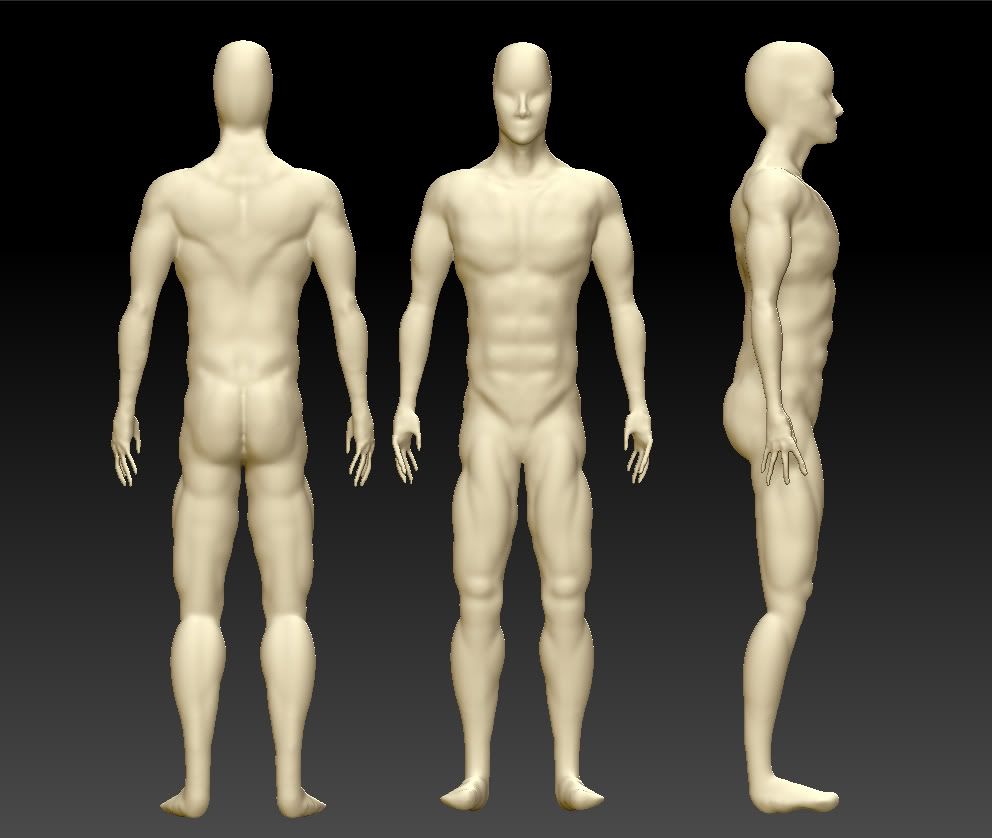 [WIP] Musculature Anatomy Study — polycount